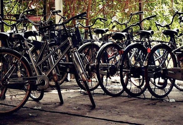Free Bicycle Safety Workshops Offered for Fort Wayne Students This ...