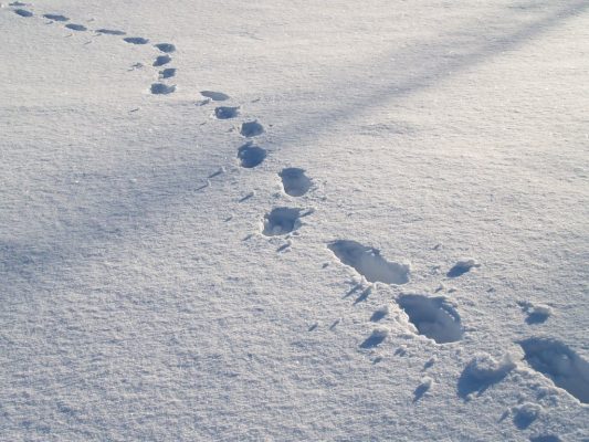 More Arctic Air is Expected for Southern states Hit by Ice and Riddled ...