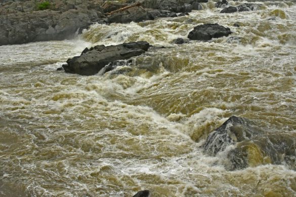 Driver Missing After Truck Swept Off Flooded Road In Martin County ...