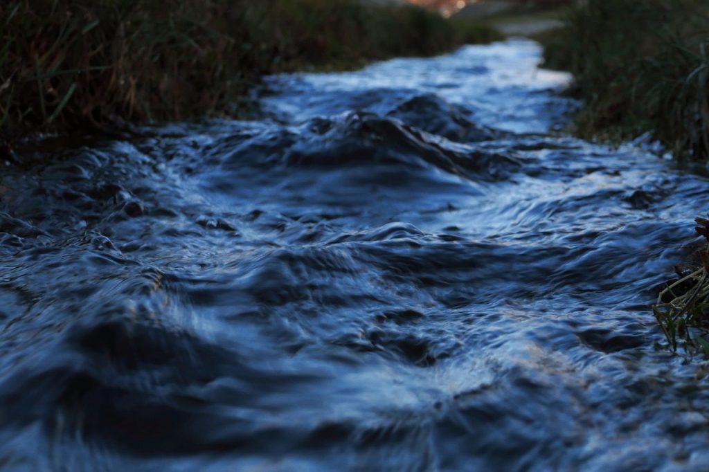 Indianapolis Woman Revived After Near-Drowning On Sugar Creek Thanks To ...